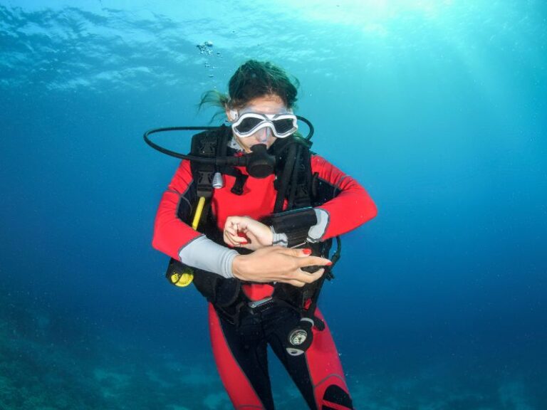 Cómo elegir el mejor ordenador de buceo: Guía 2026
