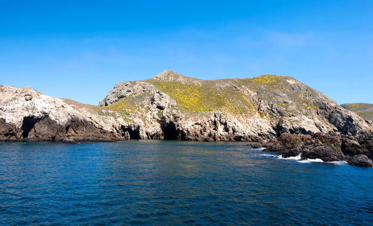 Bucear en las Azores: ¿Cuál es la mejor isla en este 2026?