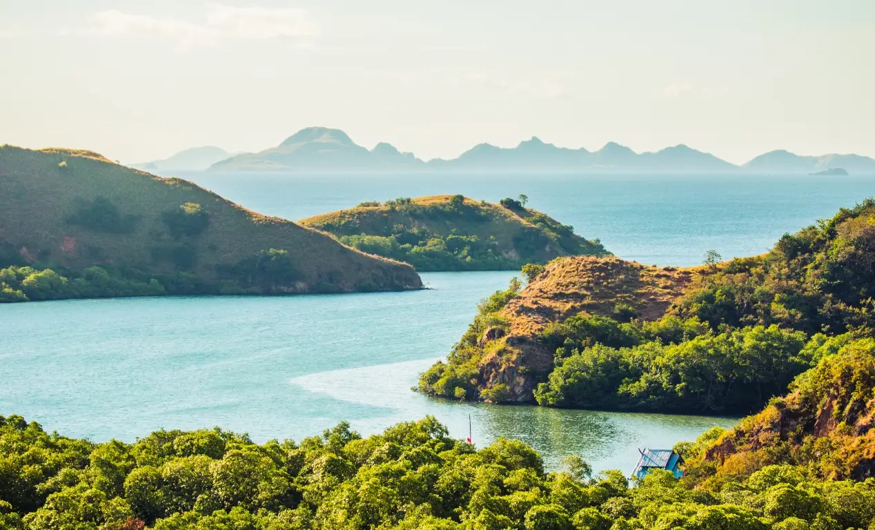 ¿En dónde hay dragones de Komodo en Indonesia?